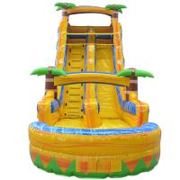 China Indoor and Outdoor Fun Colorful Palm Tree Inflatable Water Slides for Kids Ages 8-13 for sale