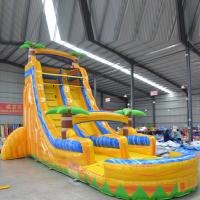 China Indoor and Outdoor Fun Colorful Palm Tree Inflatable Water Slides for Kids Ages 8-13 for sale