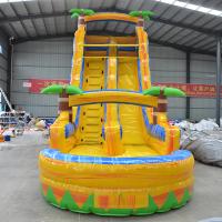 China Indoor and Outdoor Fun Colorful Palm Tree Inflatable Water Slides for Kids Ages 8-13 for sale