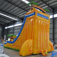 China Indoor and Outdoor Fun Colorful Palm Tree Inflatable Water Slides for Kids Ages 8-13 for sale