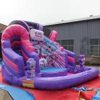 China Commercial Inflatable Water Slide for Kid Adult Customized Color and 5-10 Passengers for sale