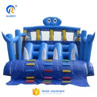 China Customized Color Park Inflatable Water Slide Playful and Imaginative Fun Guaranteed for sale