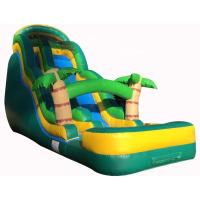 China Glue Included Large Customized Inflatable Water Slide for Outdoor Water Park Equipment for sale