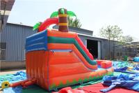 China Commercial Party Rental Inflatable Water Slide with Pool for sale