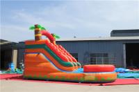 China Commercial Party Rental Inflatable Water Slide with Pool for sale