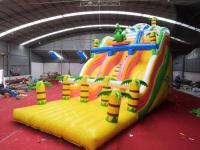 China Blower Included Inflatable Water Slide Outdoor Dry Indoor Air Slides for Kids and Adults for sale
