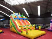 China Blower Included Inflatable Water Slide Outdoor Dry Indoor Air Slides for Kids and Adults for sale