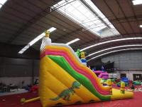 China Blower Included Inflatable Water Slide Outdoor Dry Indoor Air Slides for Kids and Adults for sale
