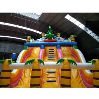 China Blower Included Inflatable Water Slide Outdoor Dry Indoor Air Slides for Kids and Adults for sale