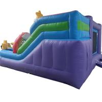 China 8-13 Years Age Range Inflatable Bounce House with Slide and Rainbow Horse Design for sale