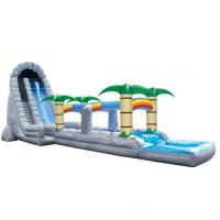 China Amusement Park Equipment Outdoor Inflatable Toy Water Slide Max Capacity 100-500kg PVC for sale