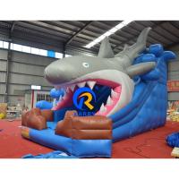 China Customized Color Wet/Dry Inflatable Building with Slide and Blower Unisex Outdoor Fun for sale