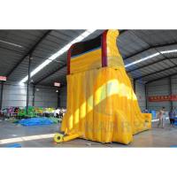 China Commercial Grade Fancy Inflatable Water Slide with Digital Printing 18ft Square Size for sale