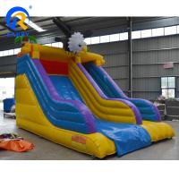 China Customized Size Outdoor Entertainment Angry Crow Inflatable Water Slides for Kids Play for sale