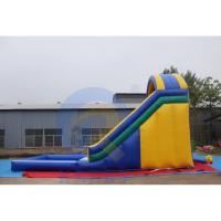 China Kids' Dream Come True Inflatable Water Slide with D-rings and Repair Kits for sale