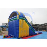 China Kids' Dream Come True Inflatable Water Slide with D-rings and Repair Kits for sale