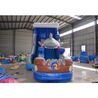 China Max Capacity 100-500kg Hot Inflatable Dry Slide for Kids and Adults Big Shark Design for sale