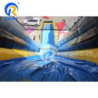 China Customized Logo Acceptable Extra Large Inflatable Wet and Dry Slide Park for Outdoor Fun for sale