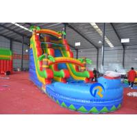 China Commercial Children Playground Air Filled Outdoor Dry Indoor Dolphin Inflatable Slides for sale