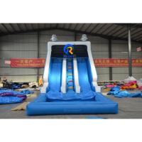 China Commercial Children Playground Air Filled Outdoor Dry Indoor Dolphin Inflatable Slides for sale