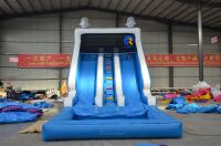 China Max Capacity 100-500kg Commercial Dual Purpose Inflatable Water Slide for Adult Kids for sale