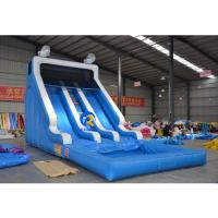 China Max Capacity 100-500kg Commercial Dual Purpose Inflatable Water Slide for Adult Kids for sale