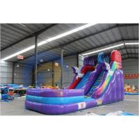 China 5-10 Passengers Customized Commercial Grade PVC Unicorn Inflatable Water Slide with Pool for sale