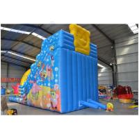 China Children's Favorite Cartoon Character Large Blue Inflatable Water Slide for Adult for sale