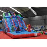 China Children's Favorite Cartoon Character Large Blue Inflatable Water Slide for Adult for sale