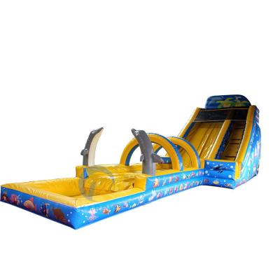 China Commercial Event Promotions Large Inflatable Water Slides with Max Capacity 100-500kg for sale