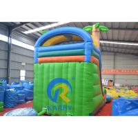 China Customized Color Large Bouncy Castle Combo with Pool Digital Printing and Steep Slide for sale