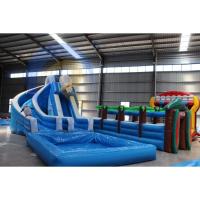 China Commercial Inflatable Water Slide Polar Bear Arctic Plunge Dual Lane for Outdoor Fun for sale