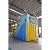 China 27FT Princess Castle Themed Commercial Inflatable Water Slides Outdoor Dry for Adults for sale