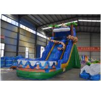 China Commercial Occasion PVC Air Filled Backyard Inflatable Water Slide with Pool for sale