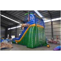 China Commercial Occasion PVC Air Filled Backyard Inflatable Water Slide with Pool for sale