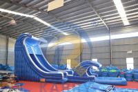 China Shopping Mall Occasion Large Inflatable Water Slide with Pool and Long Slide Path for sale