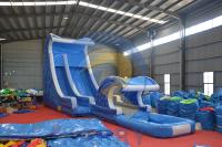 China Shopping Mall Occasion Large Inflatable Water Slide with Pool and Long Slide Path for sale