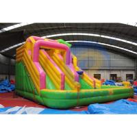 China Customized Color Marble Tropical Waterslide Inflatable Combo Bouncer for Unisex Sale for sale