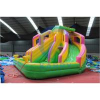 China Customized Color Marble Tropical Waterslide Inflatable Combo Bouncer for Unisex Sale for sale