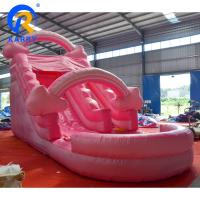 China EN71/CE Certified Customizable Inflatable Water Slide for Adults for sale