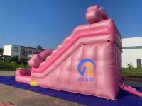 China Popular Pink Inflatable Water Slide Commercial Adult Slide for Outdoor Amusement for sale