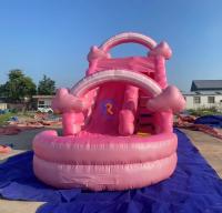 China Popular Pink Inflatable Water Slide Commercial Adult Slide for Outdoor Amusement for sale