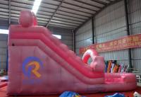 China Popular Pink Inflatable Water Slide Commercial Adult Slide for Outdoor Amusement for sale