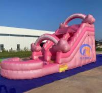 China Popular Pink Inflatable Water Slide Commercial Adult Slide for Outdoor Amusement for sale