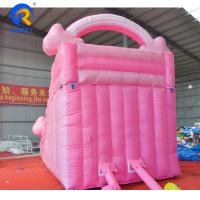 China EN71/CE Certified Customizable Inflatable Water Slide for Adults for sale