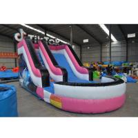 China Max Capacity 100-500kg Commercial Event Promotion Inflatable Water Slide with Pool for sale