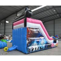 China Max Capacity 100-500kg Commercial Event Promotion Inflatable Water Slide with Pool for sale