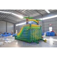 China CE Standard Air Blower Accessories Adult Size Green Palm Tree Water Slide Inflatable for sale