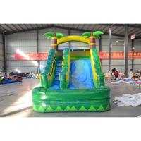 China CE Standard Air Blower Accessories Adult Size Green Palm Tree Water Slide Inflatable for sale
