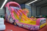 China CE Blower and Repair Accessories Included Fairytale Princess Water Slide Inflatable for sale